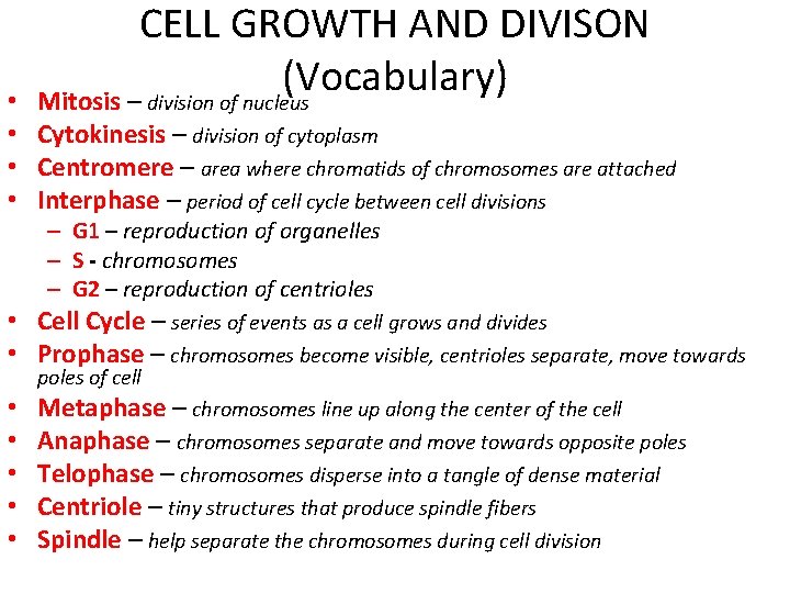 CELL GROWTH How big are cells Cells are