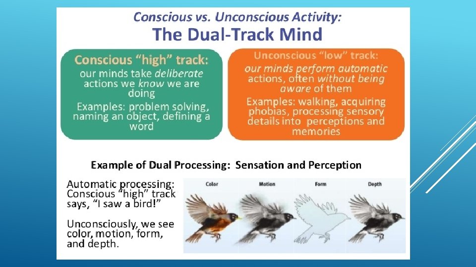 THE BIOLOGY OF CONSCIOUSNESS Module 13 WHAT PURPOSE