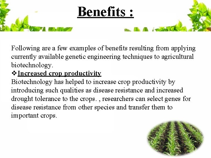 Use of Biotechnology in Agriculture Benefits and Risks