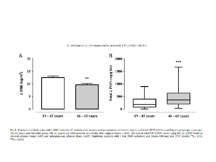The Role Of Endocrine Disruptors On Metabolic Dysfunction