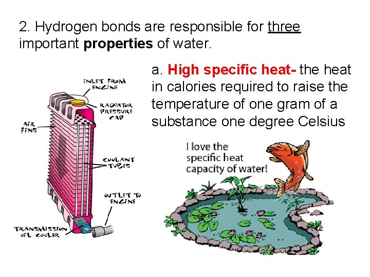 UNIT 1 Structure and Function Biochemistry Chapter 2