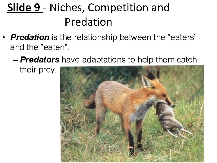 Slide 1 1 2 Ecosystems By studying ecosystems