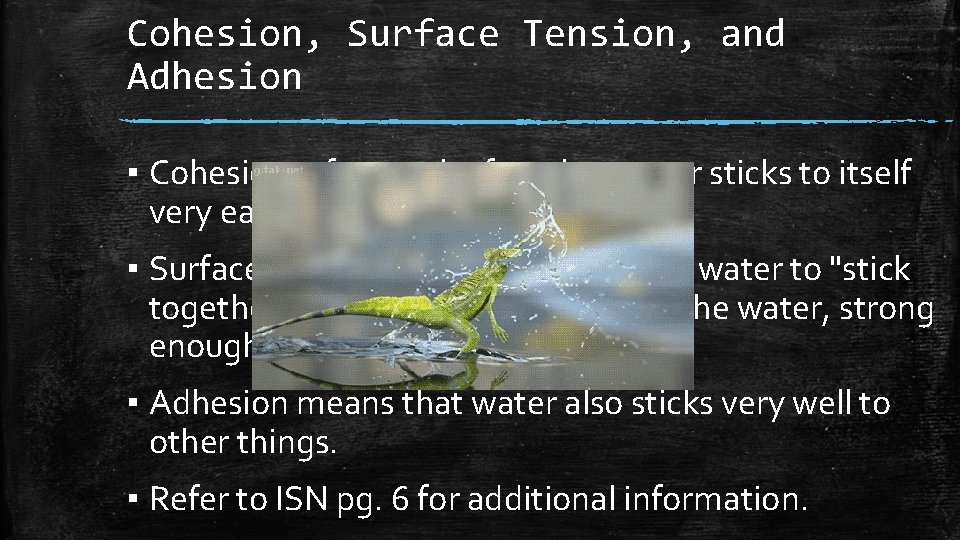 Amazing Water Water and its properties Facts About