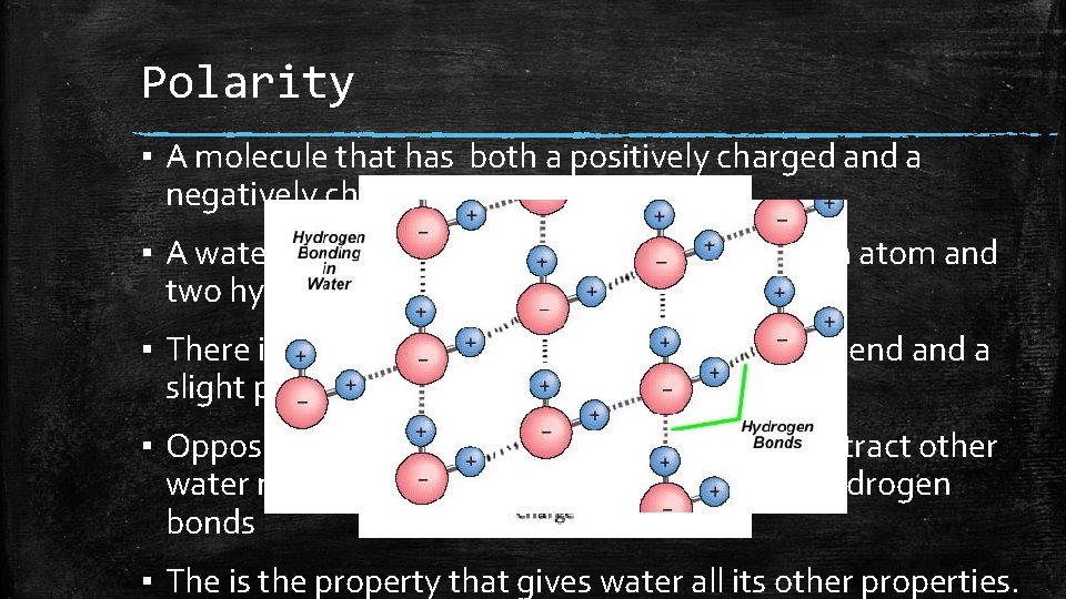 Amazing Water Water and its properties Facts About