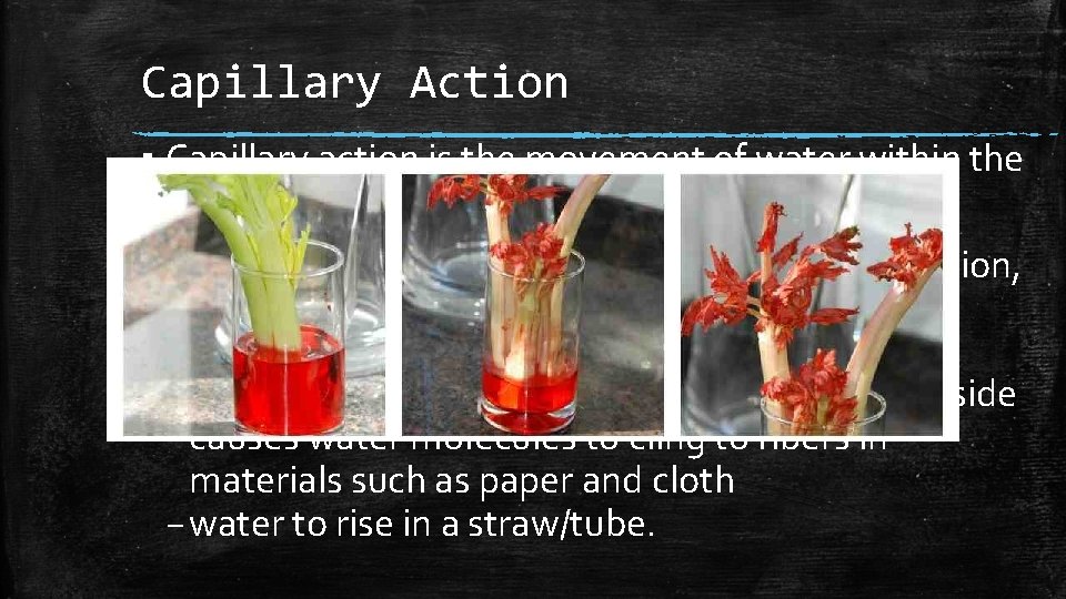 Amazing Water Water and its properties Facts About