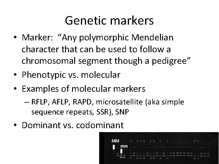 Types of genome maps Physical based on bp
