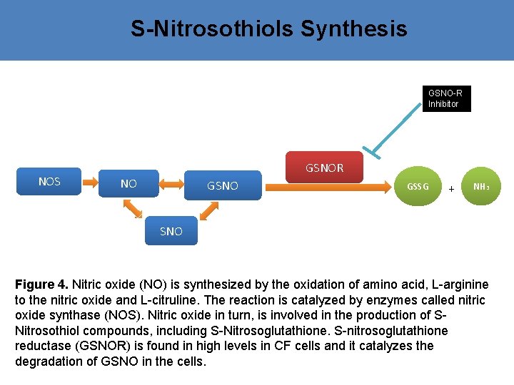 Treating Cystic Fibrosis Using SNitrosothiol Compounds Objective This