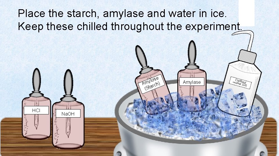 ENZYME LAB EFFECT OF TEMPERATURE AND PH ON