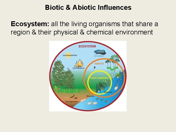 Biotic Abiotic Influences Biotic Abiotic Influences Ecosystem all