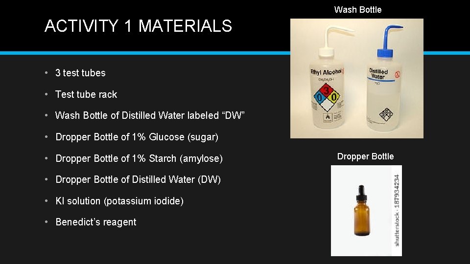 The Chemical Components of Cells In this lab