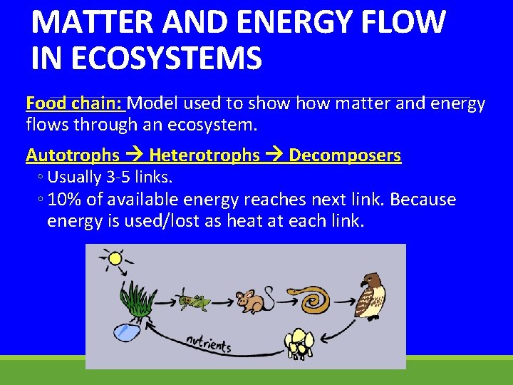 NUTRITION AND ENERGY FLOW HOW ORGANISMS OBTAIN ENERGY