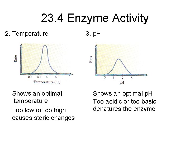 Biochemistry Chapter 23 Enzymes Problem Sets PS 1