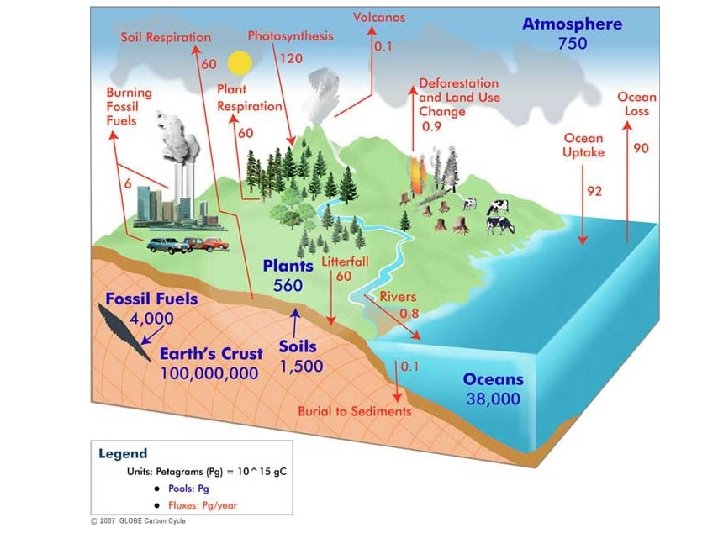 Chapter 4 Biogeochemical Cycles Objectives Identify and describe