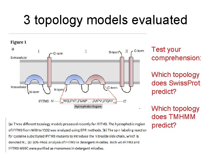 Predicting cellular localization and membrane topology Bioe 190