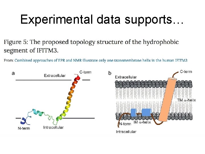 Predicting cellular localization and membrane topology Bioe 190