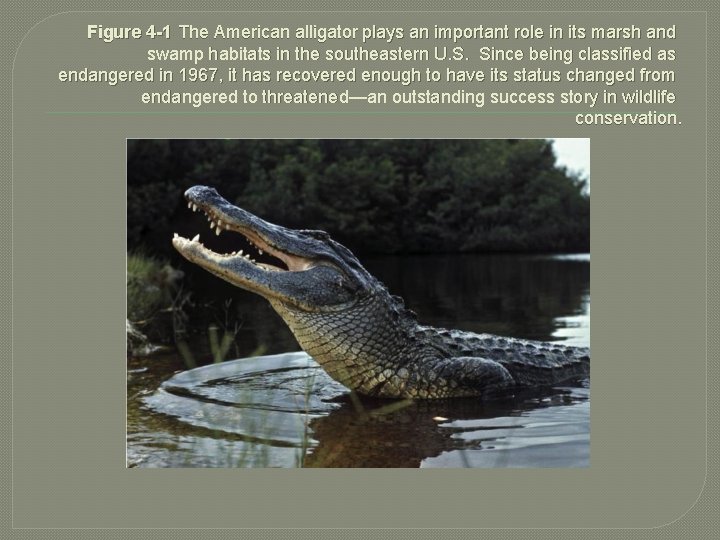 Biodiversity and Evolution Chapter 4 Miller and Spoolman