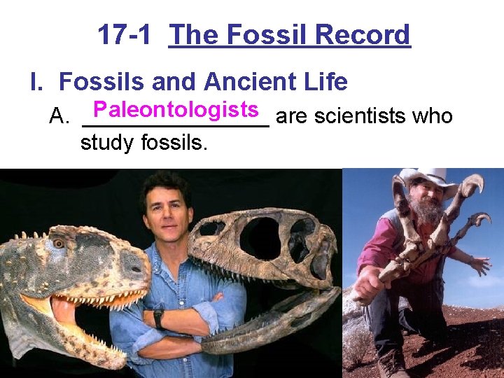 Biology Chapter 17 Evolution The History of Life
