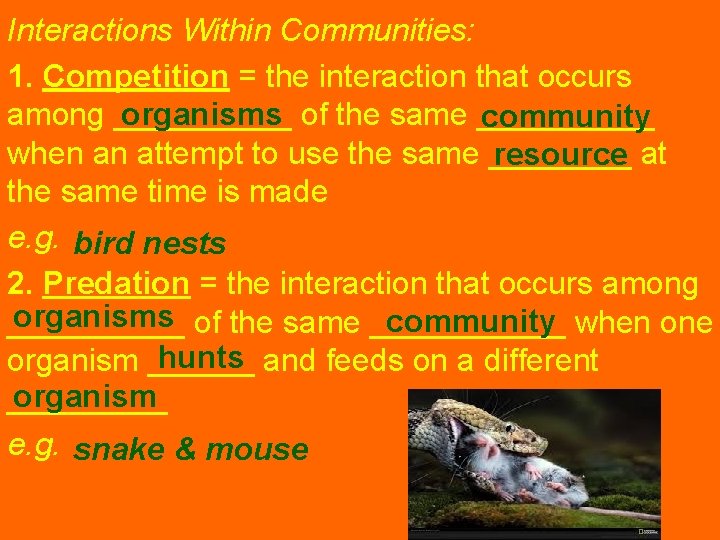 Biology Notes Ecology Part 3 Pages 431 447