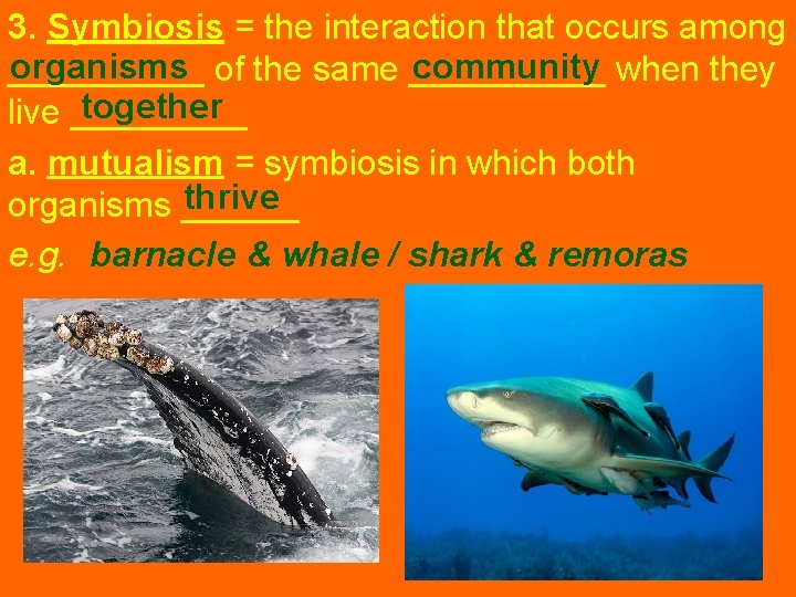 Biology Notes Ecology Part 3 Pages 431 447