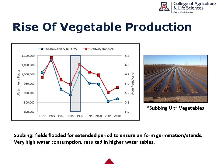 Irrigation Management in Yuma County Paul Brown Charles