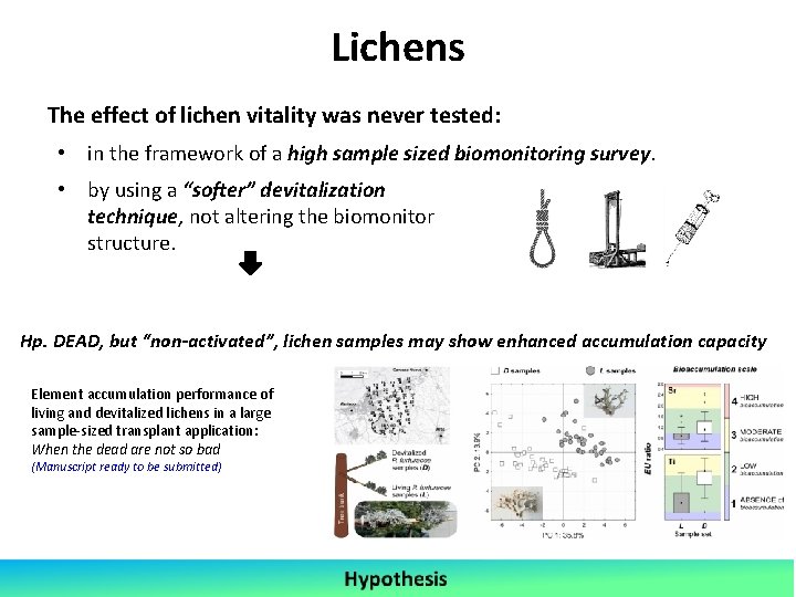 Living vs dead lichen biomonitors Another methodological issue