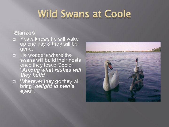 W B YEATS The Wild Swans at Coole