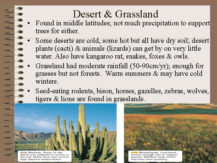 BIOMES CONTAIN MANY ECOSYSTEMS REGIONS OF EARTH ARE