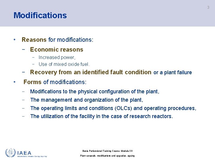 BASIC PROFESSIONAL TRAINING COURSE Module XII Plant renewals