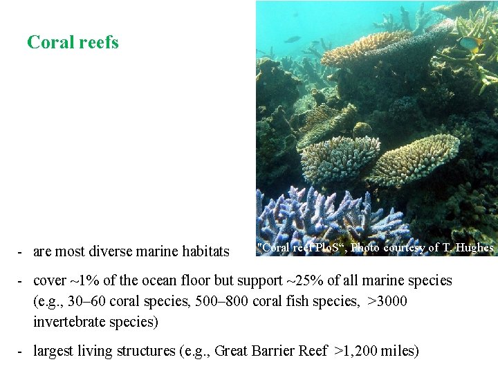 Unit 3 Oceans Habitats Organisms to Ecosystems Learning