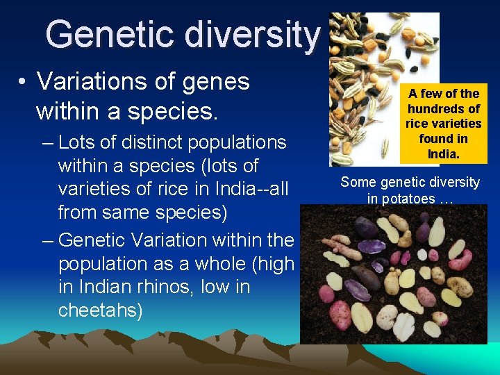 Biodiversity Notes Short for Biological Diversity What does