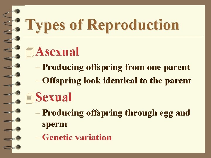Meiosis Section 8 3 Objectives 4 List and