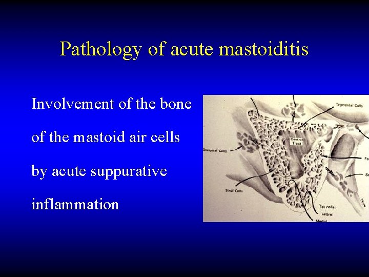 Objectives Present the pathology clinical presentation and management