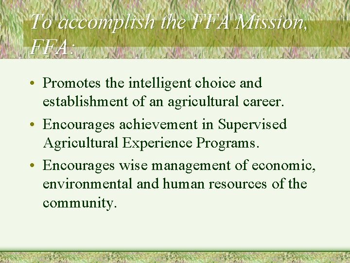 Todays FFA Modified by Georgia Agricultural Education Curriculum