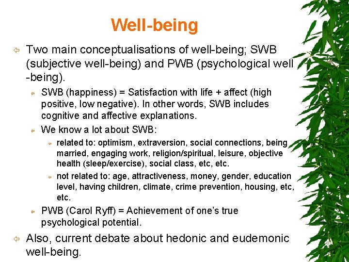 Individual wellbeing and its relationship to personal values