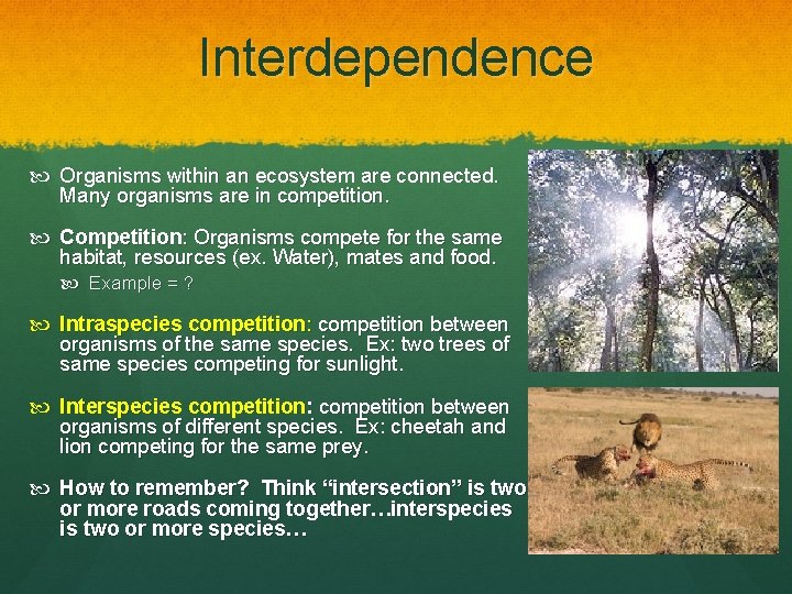 G O 1 Biological diversity is reflected in