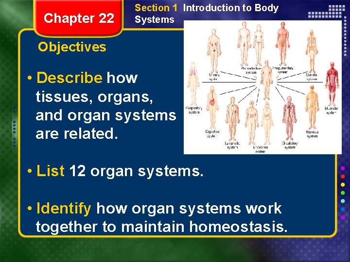 Chapter 22 Body Organization and Structure Table of
