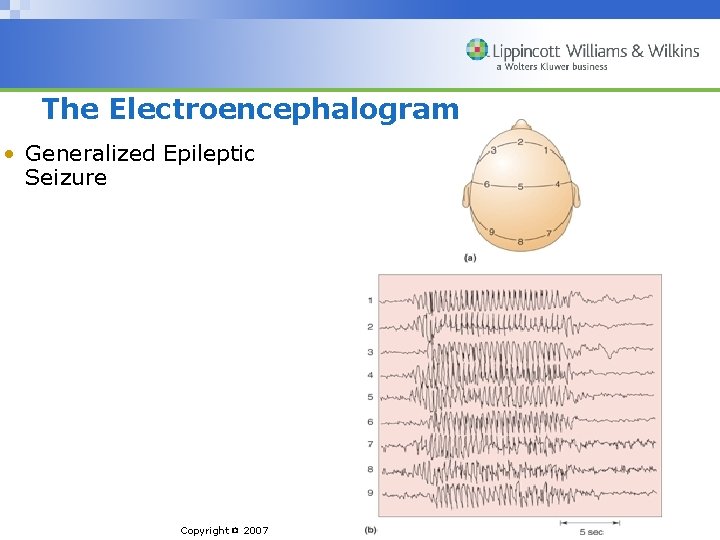 Neuroscience Exploring the Brain 3 e Chapter 19