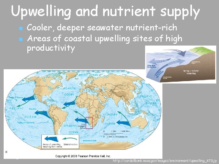 CHAPTER 13 Biological Productivity and Energy Transfer Fig