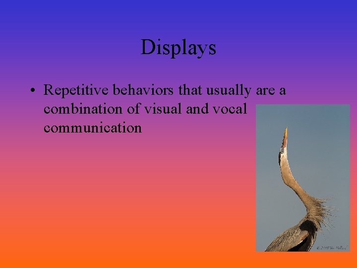 Ornithology Communication Unit Avian Senses Birds have highly
