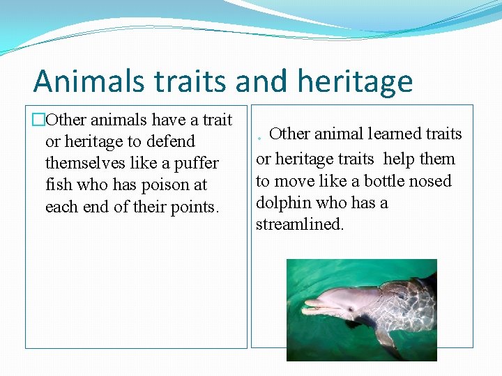 How Living Things Live BY Gabrielle Animal Adaptations
