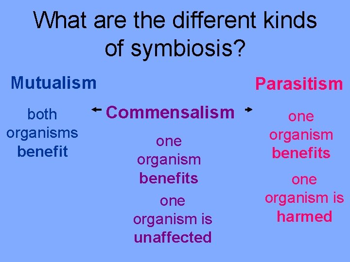 Symbiotic Relationships EQ How do organisms fit together