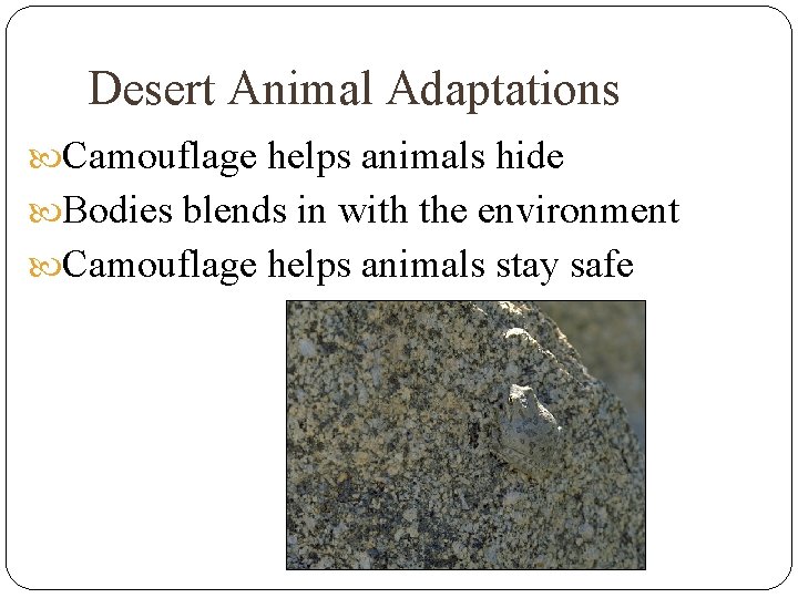 Life in the Desert Kendra Webb EQ What