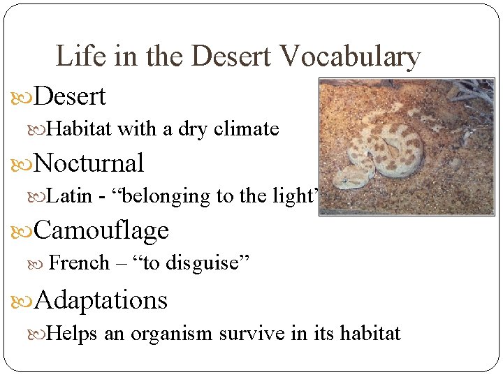 Life in the Desert Kendra Webb EQ What