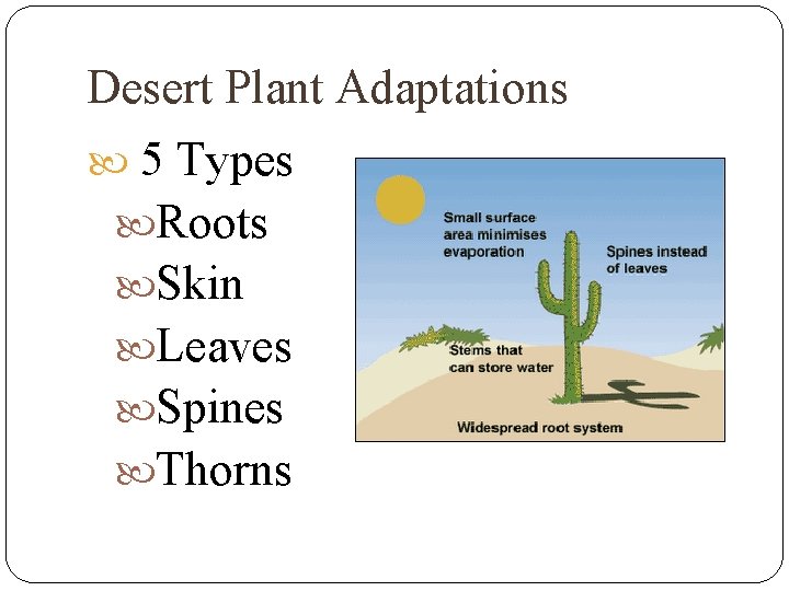 Life in the Desert Kendra Webb EQ What