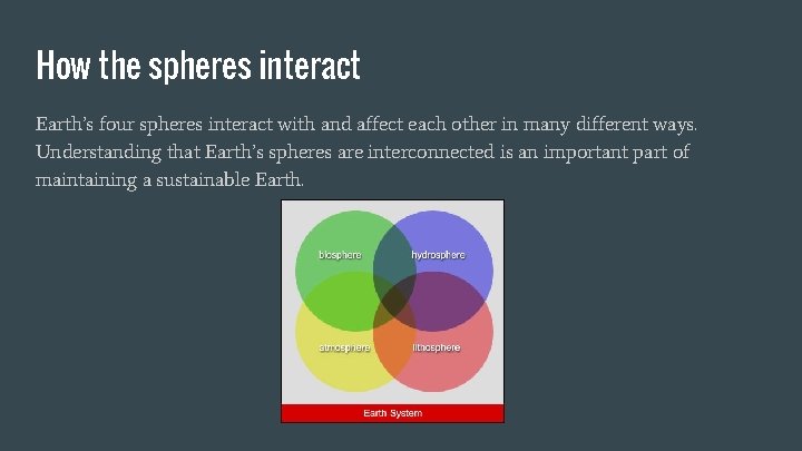 Salmon help keep temperate rainforests of British Columbia