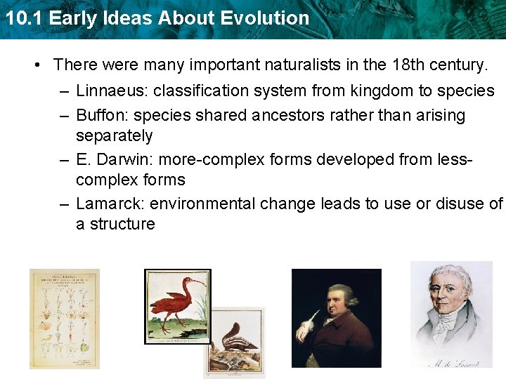 10 1 Early Ideas About Evolution KEY CONCEPT