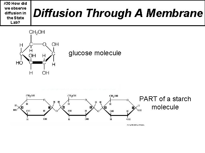 30 How did we observe diffusion in the