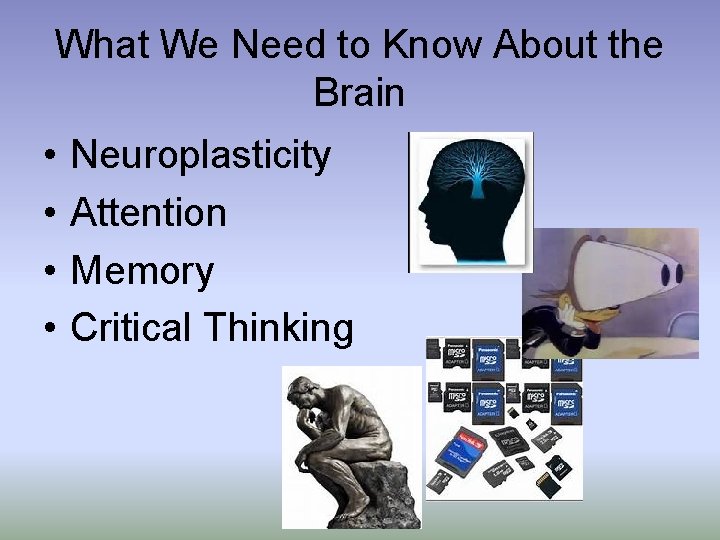 Student Centered Learning and the Brain Dr Sarah