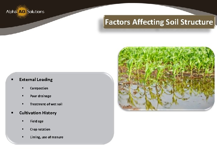 Sustainable Agriculture Soil Management Presented by Alpha Ag
