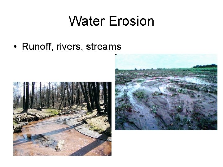 Erosion Erosion The process by which natural forces